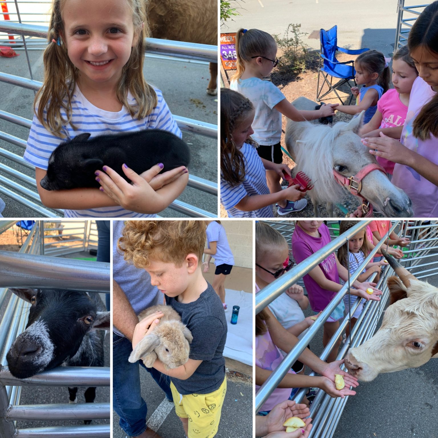 Camp Rock - Showtime Elite