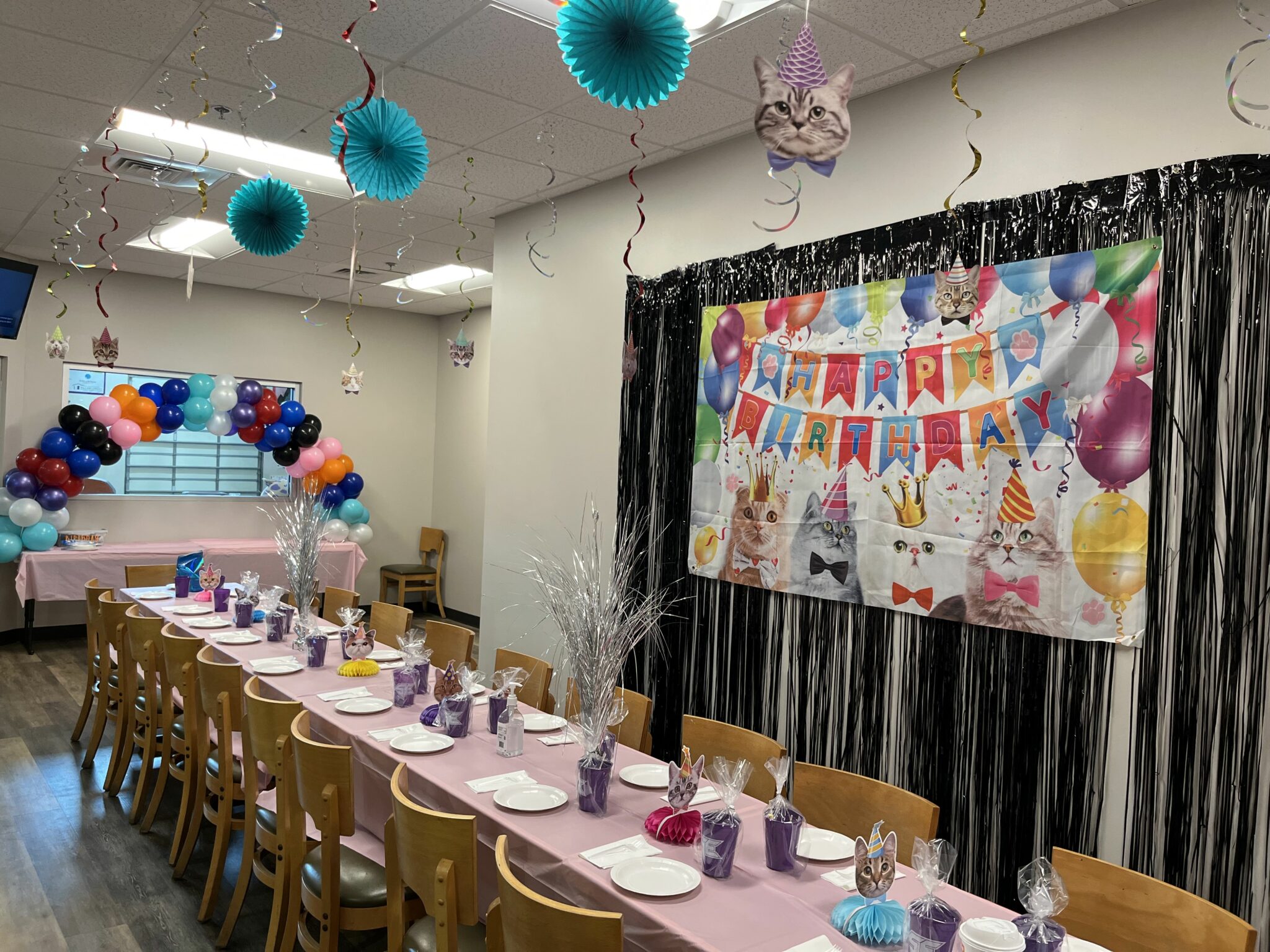 Birthday Parties - Showtime Elite
